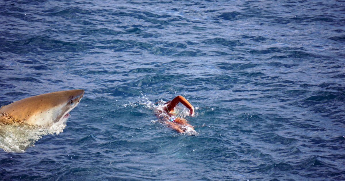 Devojku ugrizla morska "neman", ljudi prepoznali hrvatsku influenserku VIDEO - Bijeljinalive